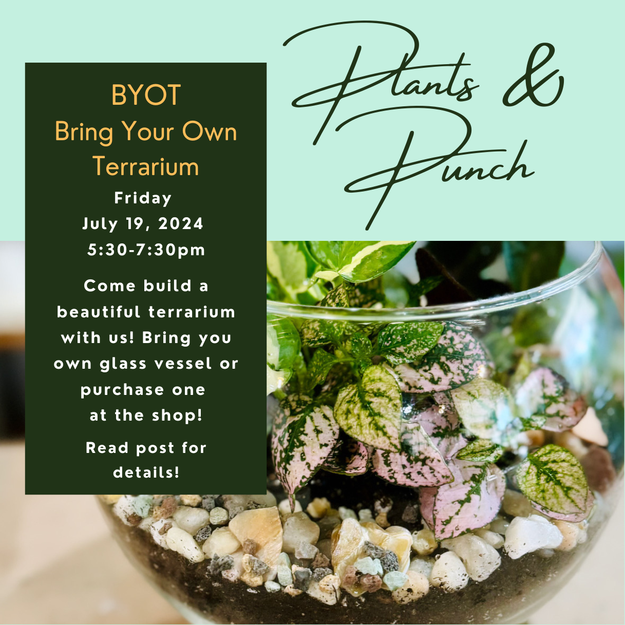 Plants & Punch BYOT Bring Your Own Terrarium | Plant People Shop